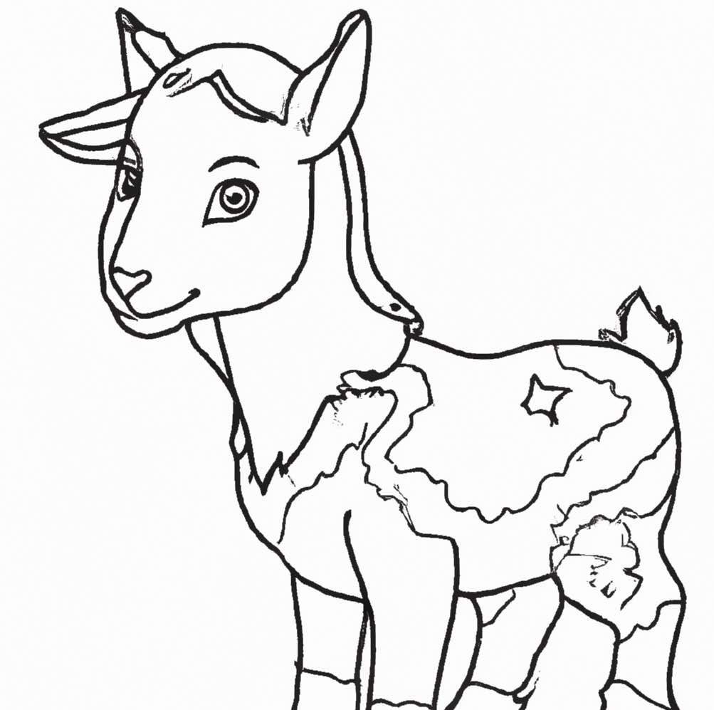 Ziegen Malvorlagen für Kinder - kostenlos herunterladen